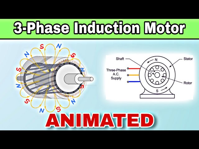 Understanding the Working Principle of Three-Phase Induction Motors ...