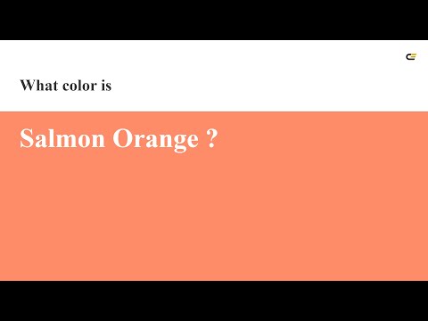 Salmon Orange color #ff8c69 hex Cool Orange color ff8c69