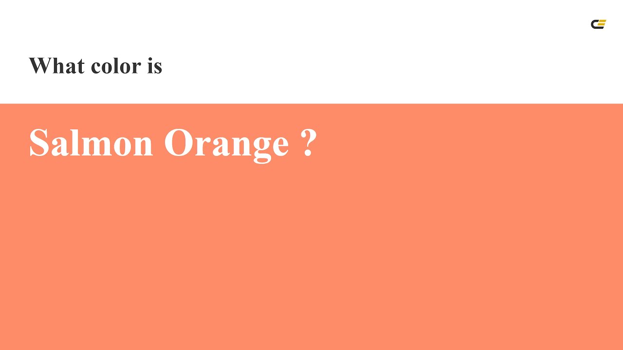 Salmon Orange color #ff8c69 hex Cool Orange color ff8c69