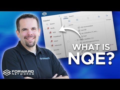 What is NQE?