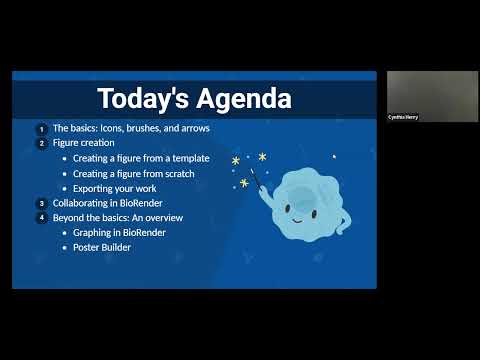 BioRender Basics