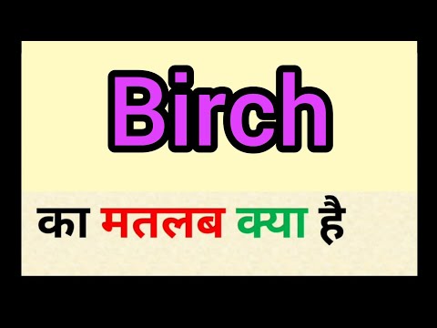 Birch meaning in hindi | birch ka matlab kya hota hai | word meaning English to hindi