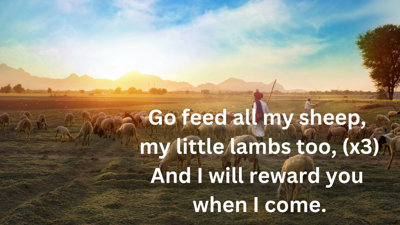 GO FEED MY SHEEP, Go search them today, On the mountains over hills My sheep gone astray,