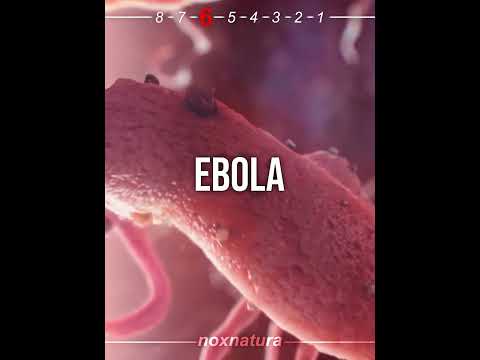 TOP 8 deadliest diseases, by death rates 🔍🦠