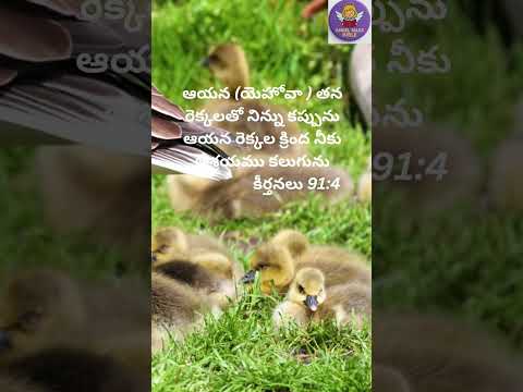 Bible verse #bible #god #jesus