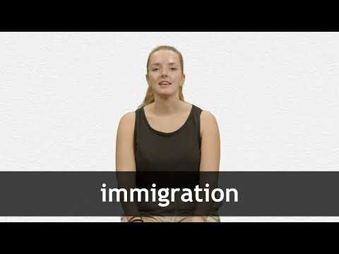 English Translation of “IMMIGRATION” | Collins French-English Dictionary