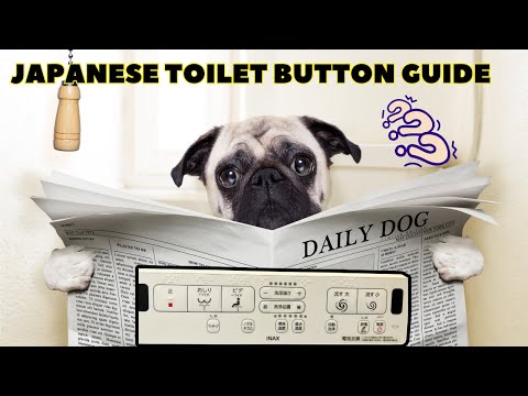 This is how you operate a Japanese toilet/bidet