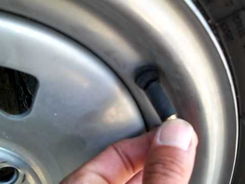 Shoreland'r trailer tire