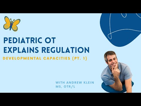 Pediatric OT Explains Regulation | DIR/Floortime Developmental Capacities Pt. 1