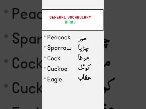Birds Name | Birds Name in English to Urdu | Basic English Learning part - 3