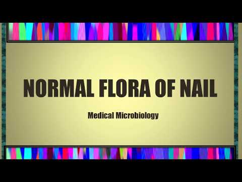 NORMAL FLORA OF NAIL