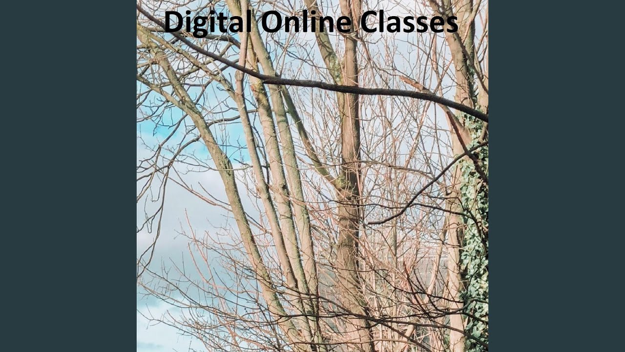 Digital Online Classes