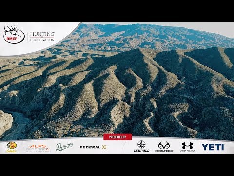 Hunting Is Conservation - Countering the Argument: Hunting Disrupts the Ecosystem