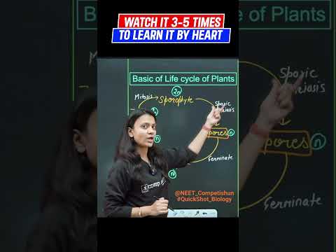 Gametophyte vs Sporophyte | QuickShot Biology | #ncert#neetpreparation#medicalentrance#neet2025