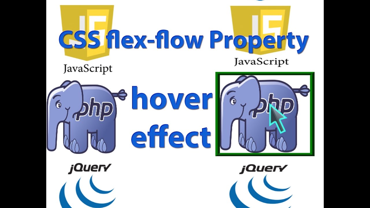 CSS flex-flow property | CSS image zoom on hover inside a div | Scale on Hover with Transition