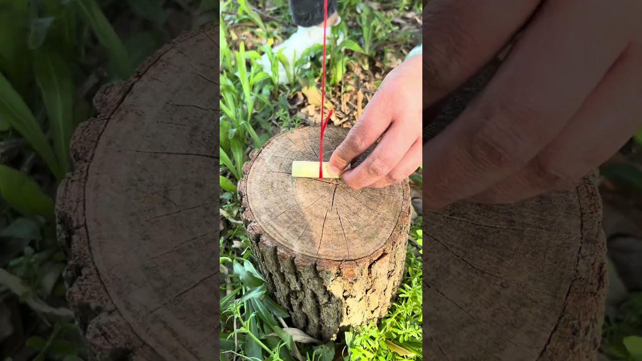 Outdoor#Camping#Camping in the wilderness#Wilderness survival skills#Boiling fruits