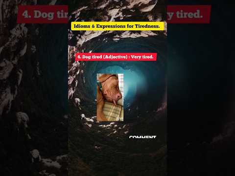 Idioms & Expressions for Tiredness। Meanings। Examples । Sentences #idioms #subscribe
