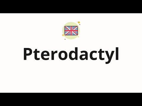 How to pronounce Pterodactyl