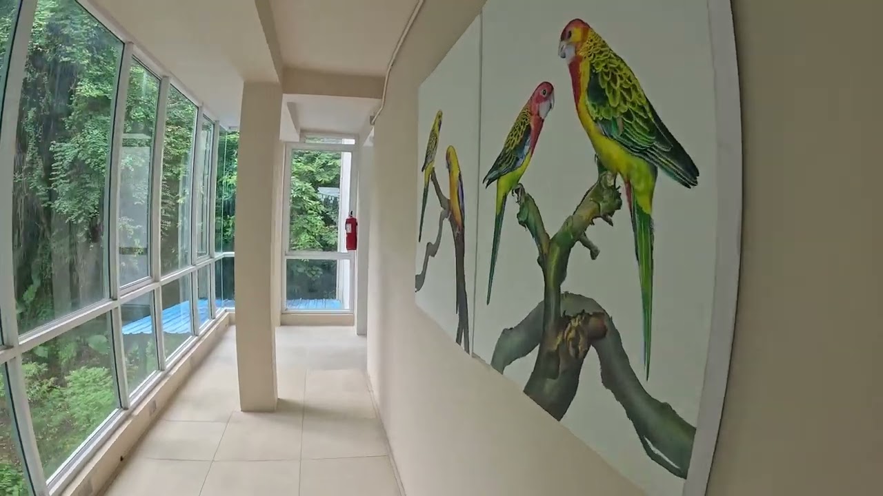 Phuket Hilltop Wellness Resort 🇹🇭 | Hotel Walk-Through & Room Tour