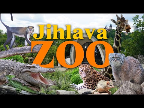 Jihlava Zoo - the "Zoo of Five Continents" | Zoo Review