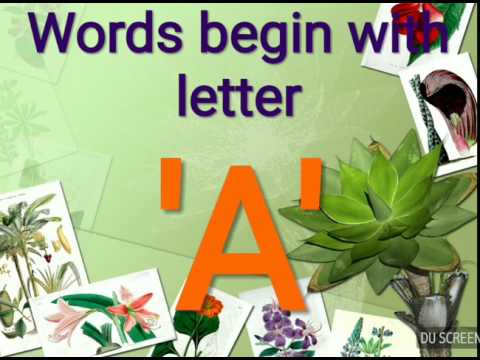 Words begin with letter 'A'