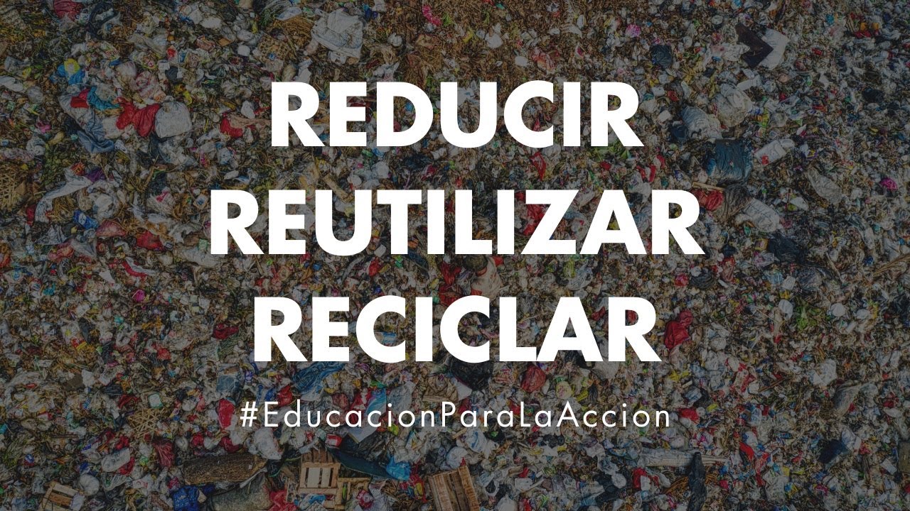 ¿Cuáles son las 3R de la Ecología? | Educación Ambiental Digital