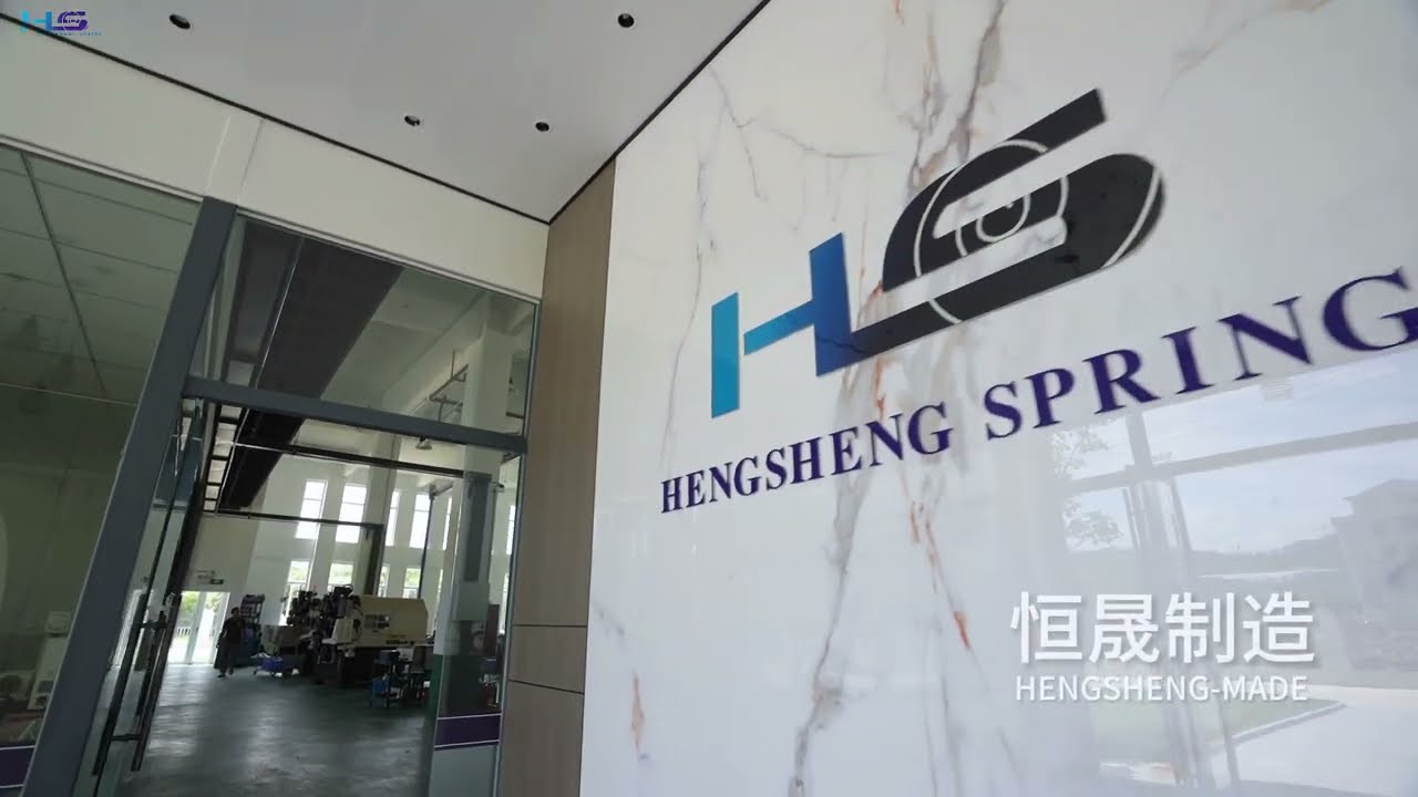🌐 Discover Precision Engineering: Hengsheng Co.'s Flat Springs