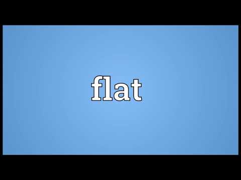 flat meaning in English