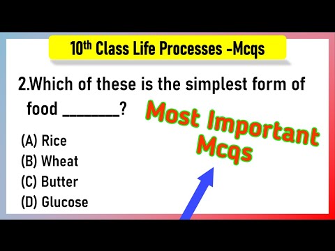 MCQ Questions for Class 10 Science Life Process with Answers | Life Process mcq