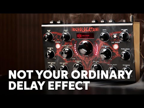 Erica Synths Echolocator Stereo Delay Demo