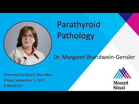 AP Didactic - Head & Neck - Parathyroid Pathology with Dr. Brandwein