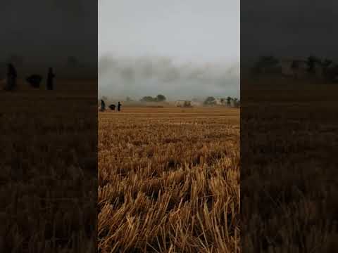 Harvesting #tractor #agriculture #trolley #agriculturedrone
