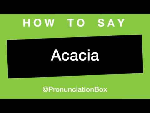 How To Say and Pronounce Acacia