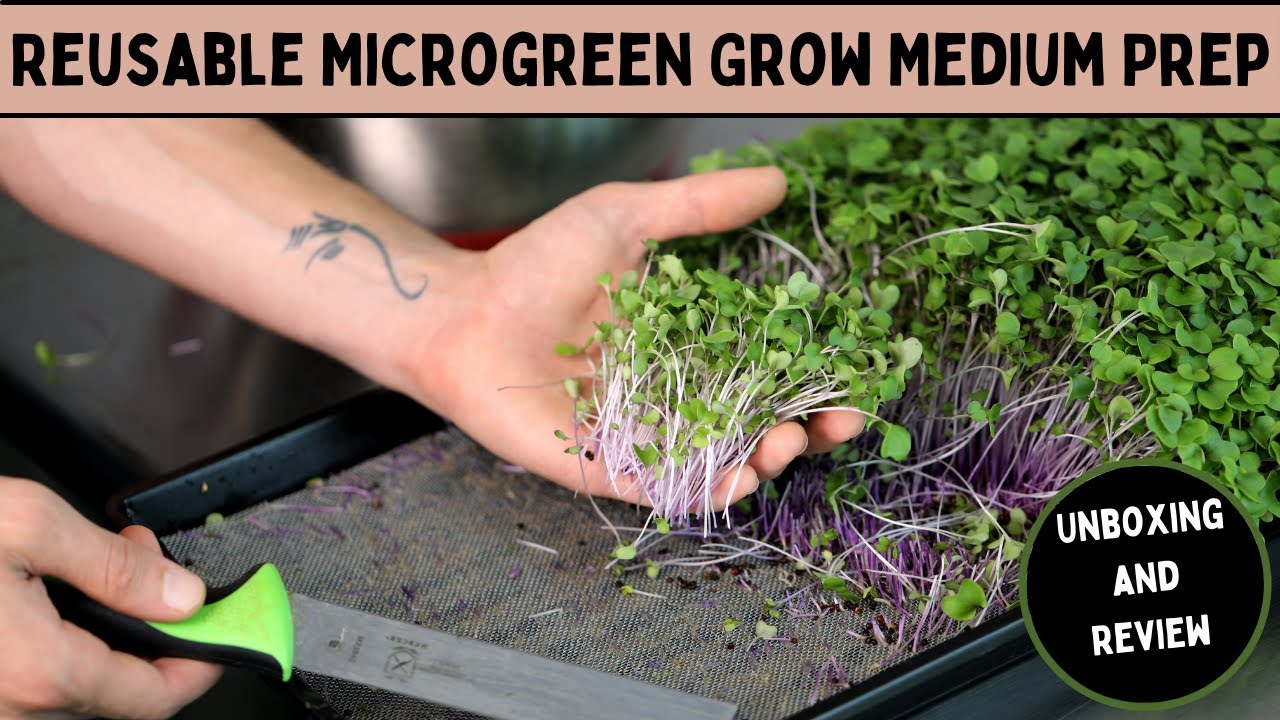 Stainless Steel Reusable Grow Medium for Microgreens — Unboxing & First Impressions!