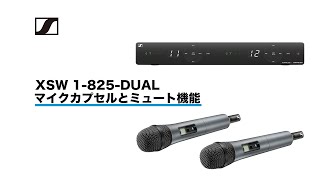 SENNHEISER、XSW 1-825 DUAL-JB、800MHz、2ch、ワイヤレス SENNHEISER、XSW 1-825 DUAL-JB、800MHz、2ch、ワイヤレス