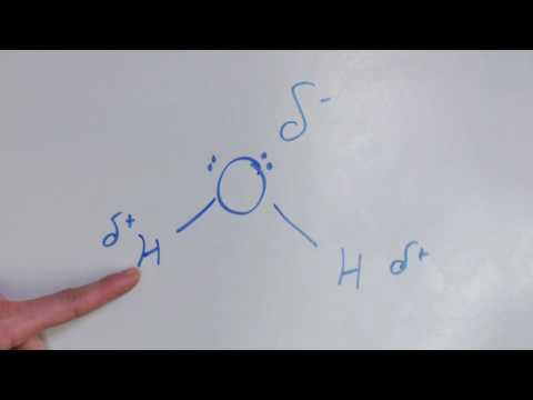 Chemistry & Nature Facts : What Is Polar?