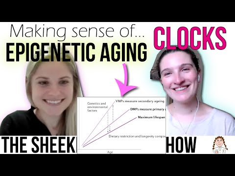 How to study aging with DNA methylation.