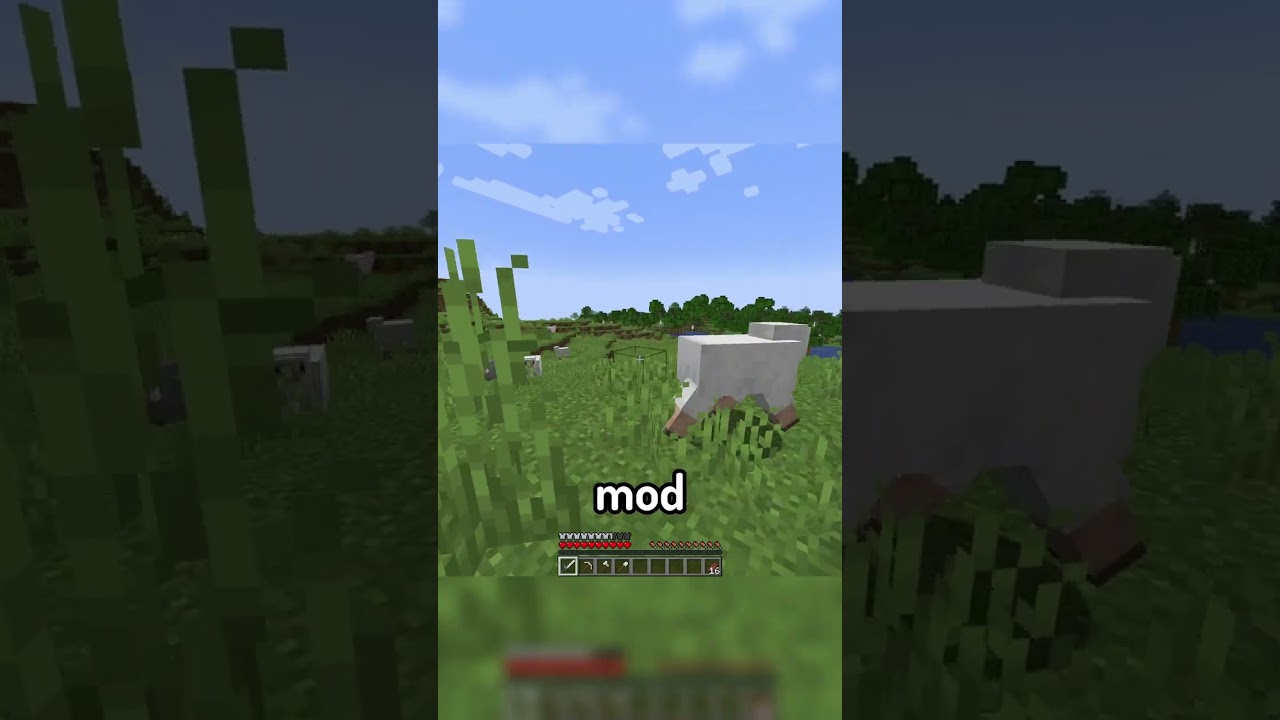 Mini Mod Reviews - Xaero's World Map