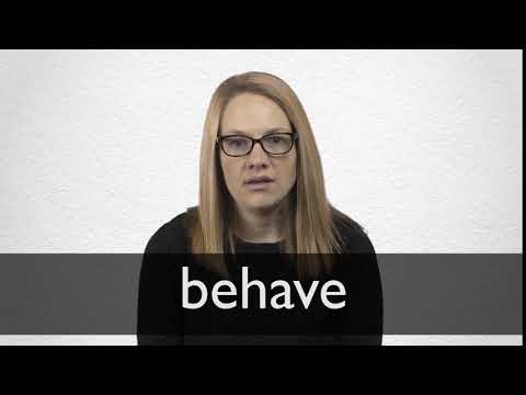 BEHAVE definition in American English | Collins English Dictionary