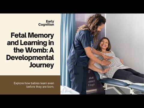 Fetal Memory and Learning: Early Cognitive Development in the Womb