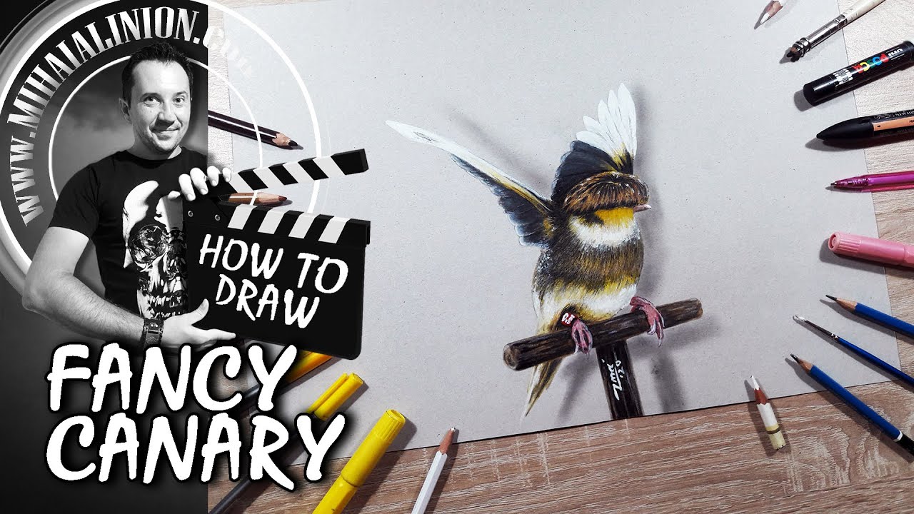 How to Draw Birds: Fancy Canary - Realistic 3D Art