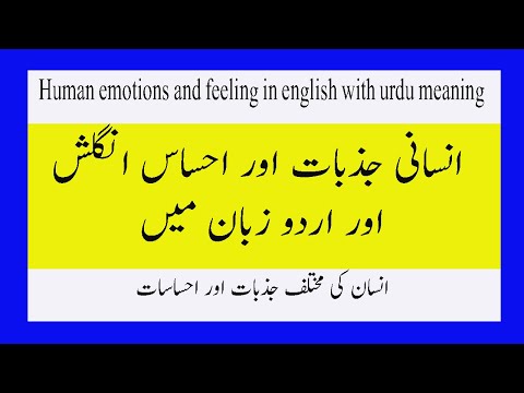 List Of 97 Human Emotions And Feeling In English With Urdu Meaning Insani Jazbaat Aur Ehsaas