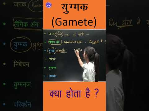 युग्मक Gamete क्या होता है ?