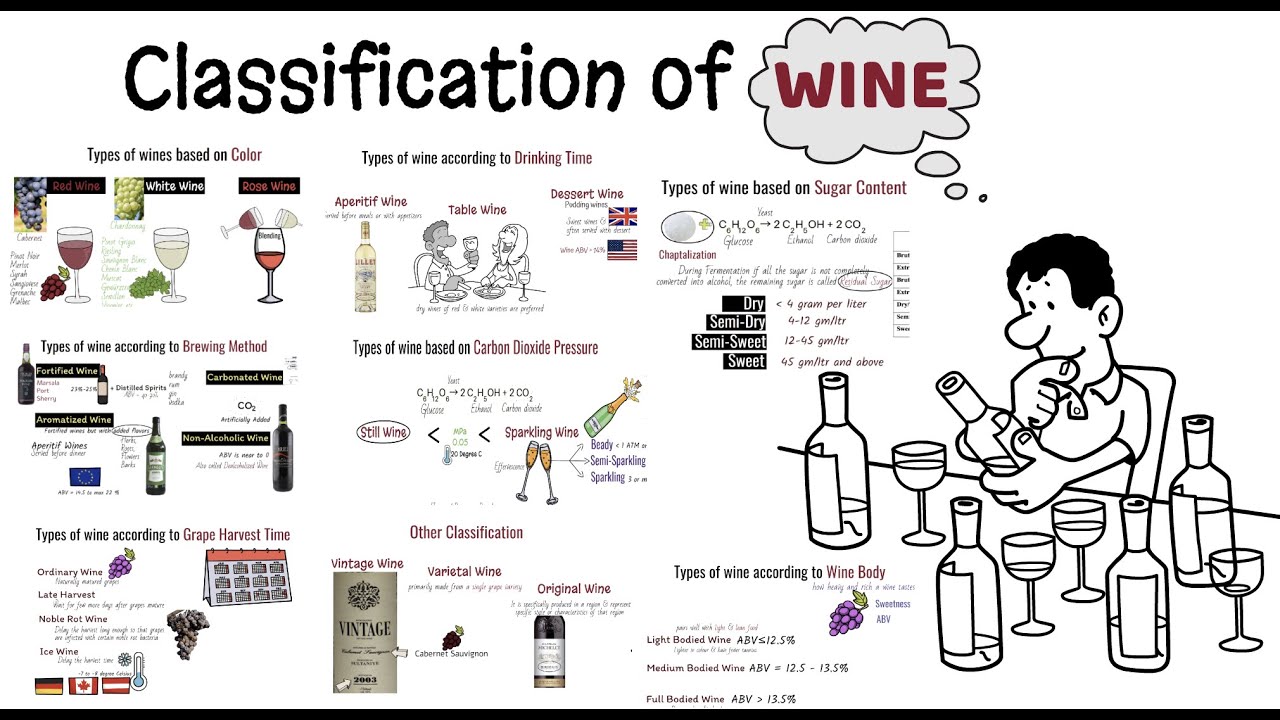 Understanding Wine: A Comprehensive Guide to Types and Classifications | Galaxy.ai