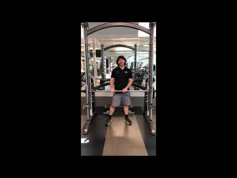 Smith Machine - Gym Smith Machine Latest Price, Manufacturers & Suppliers