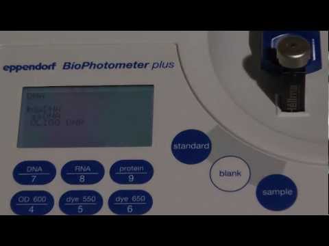 Using the Hellma® TrayCell™ with the Eppendorf BioPhotometer plus™ – 1mm lightpath