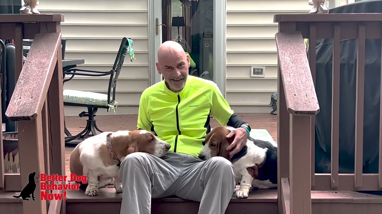 Dog Trainer Richmond VA - Better Dog Behavior Now, Richmond, VA