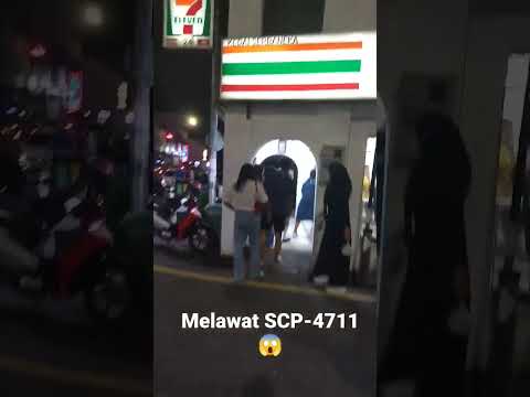 Melawat SCP-4711