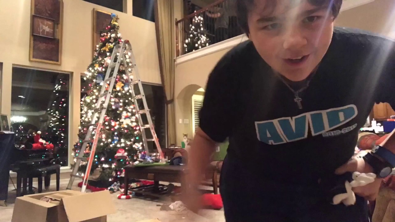 Christmas Timelapse 2016 2