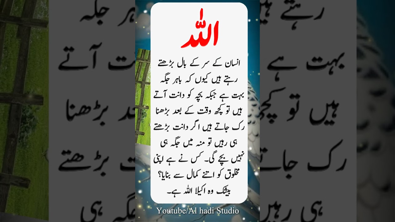 Islamic Best Quotes #trending #islamicquotes #goldenwords #shorts #viral